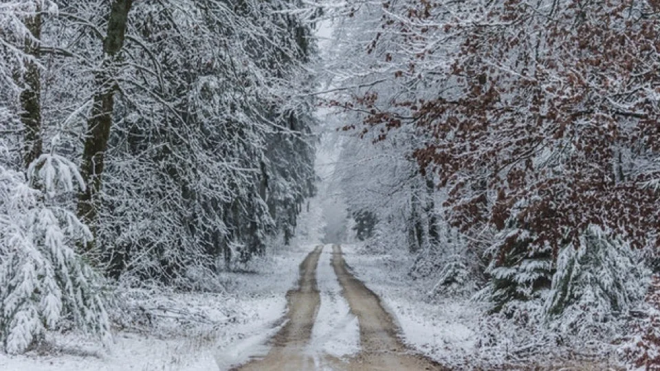 Cold Weather Activities That Will Do You Good - NowWithPurpose